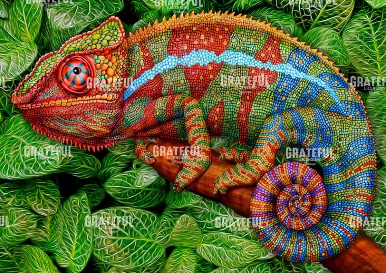 Tim Jeffs Artwork - Grateful Art Licensing