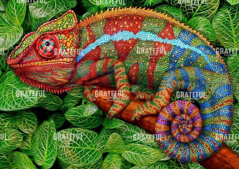 Tim Jeffs Artwork - Grateful Art Licensing