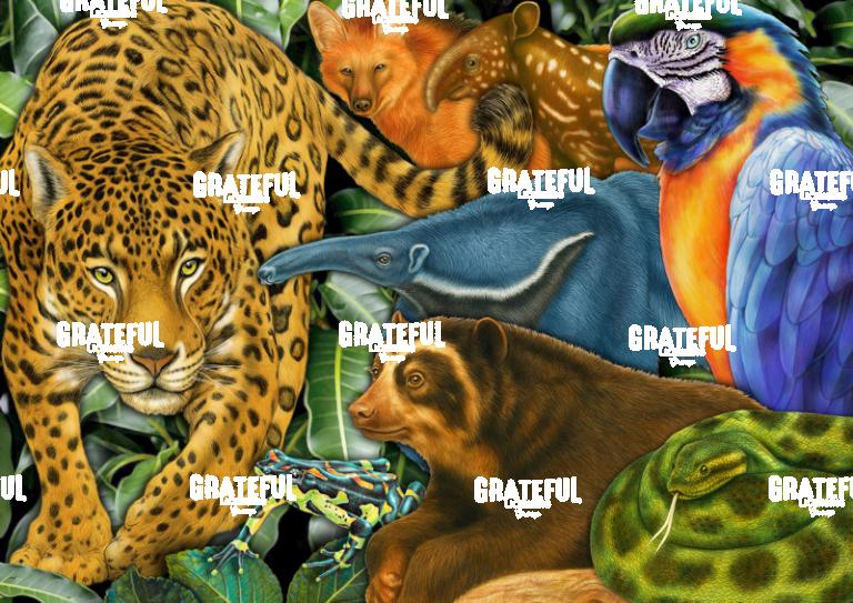 Tim Jeffs Artwork - Grateful Art Licensing