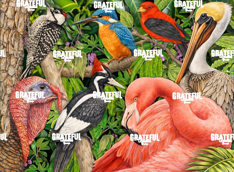 Tim Jeffs Artwork - Grateful Art Licensing