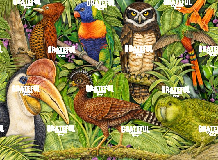 Tim Jeffs Artwork - Grateful Art Licensing
