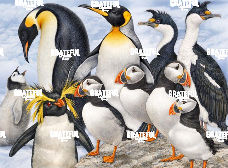 Tim Jeffs Artwork - Grateful Art Licensing