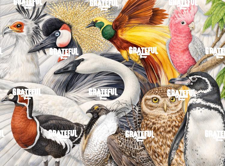 Tim Jeffs Artwork - Grateful Art Licensing