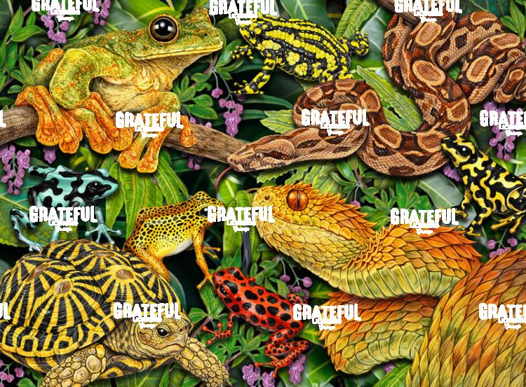 Tim Jeffs Artwork - Grateful Art Licensing