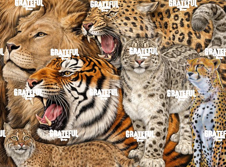 Tim Jeffs Artwork - Grateful Art Licensing